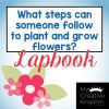 How to grow flowers (steps) Kindergarten Journeys Unit 5 Lesson 23 Lap ...